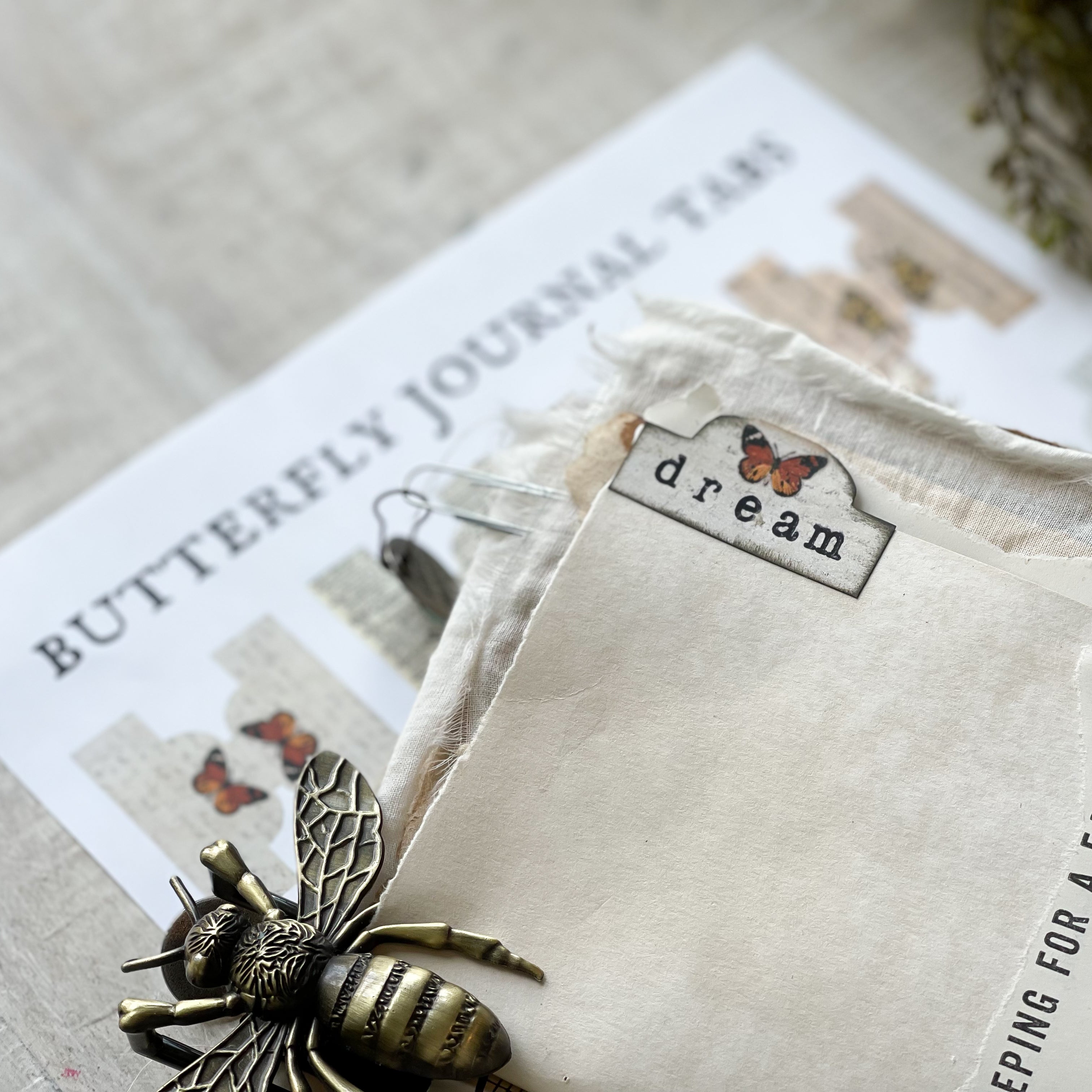 Butterfly Tab Project – GinaLuker